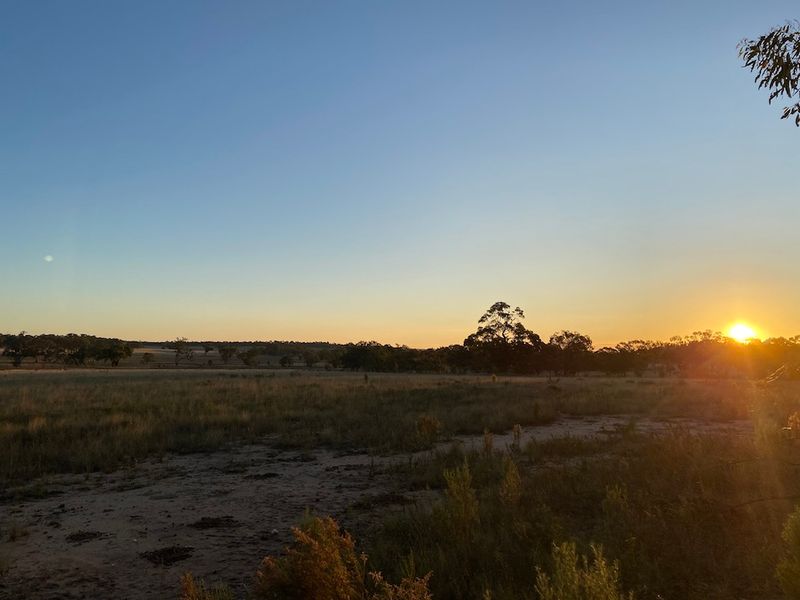 Cobbora Solar Farm - Marble Energy