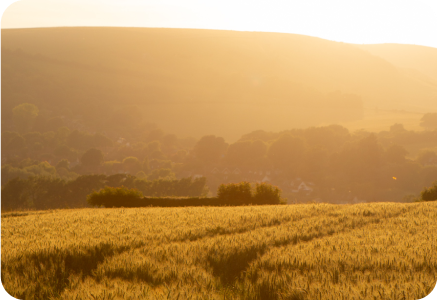Visible - Activity tracking for Long Covid and ME/CFS