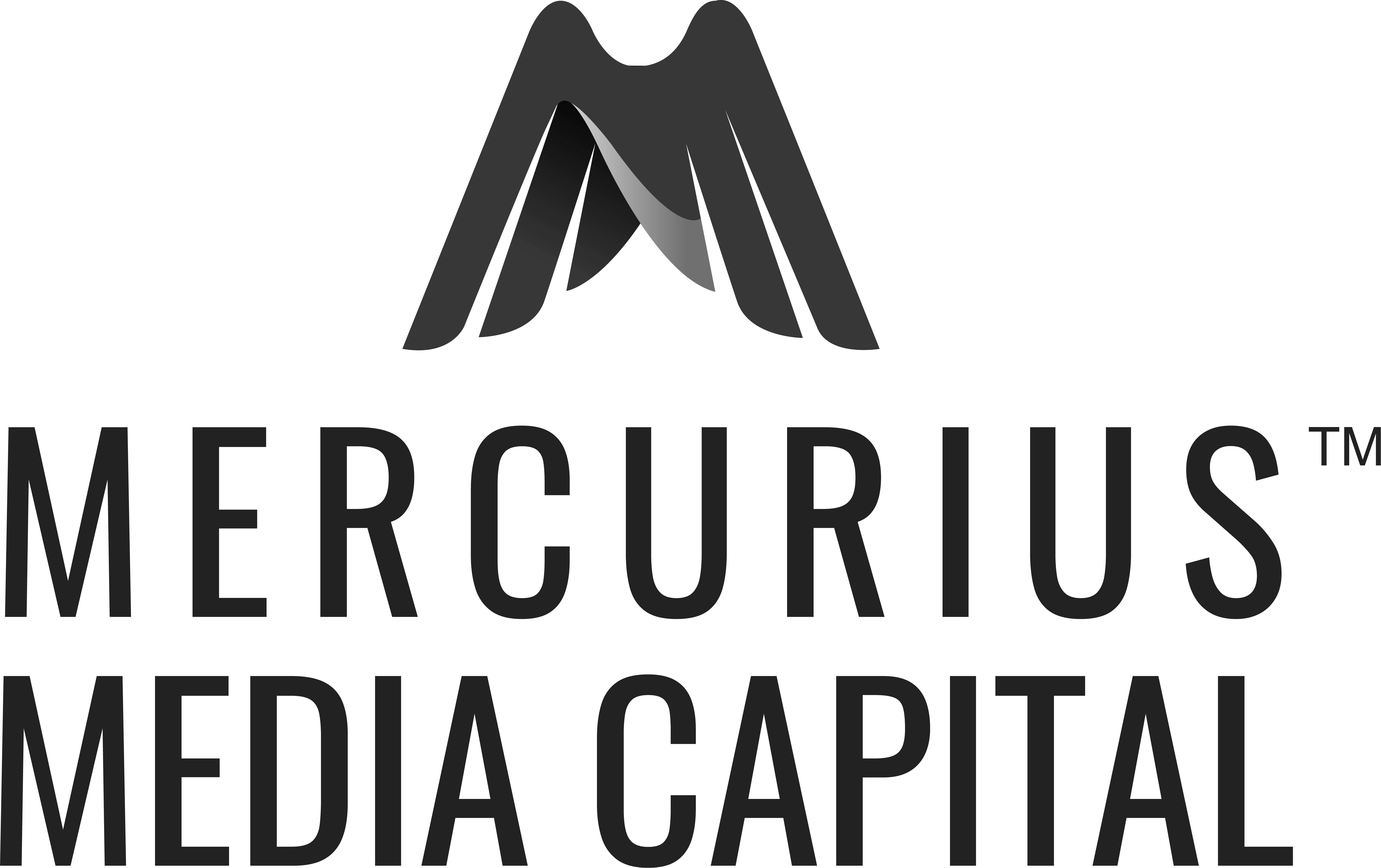media for equity investors network and advisory firm | About Us