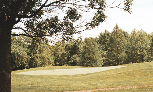 Welcome to the Gimme Golf Club