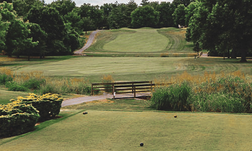 Welcome to the Gimme Golf Club