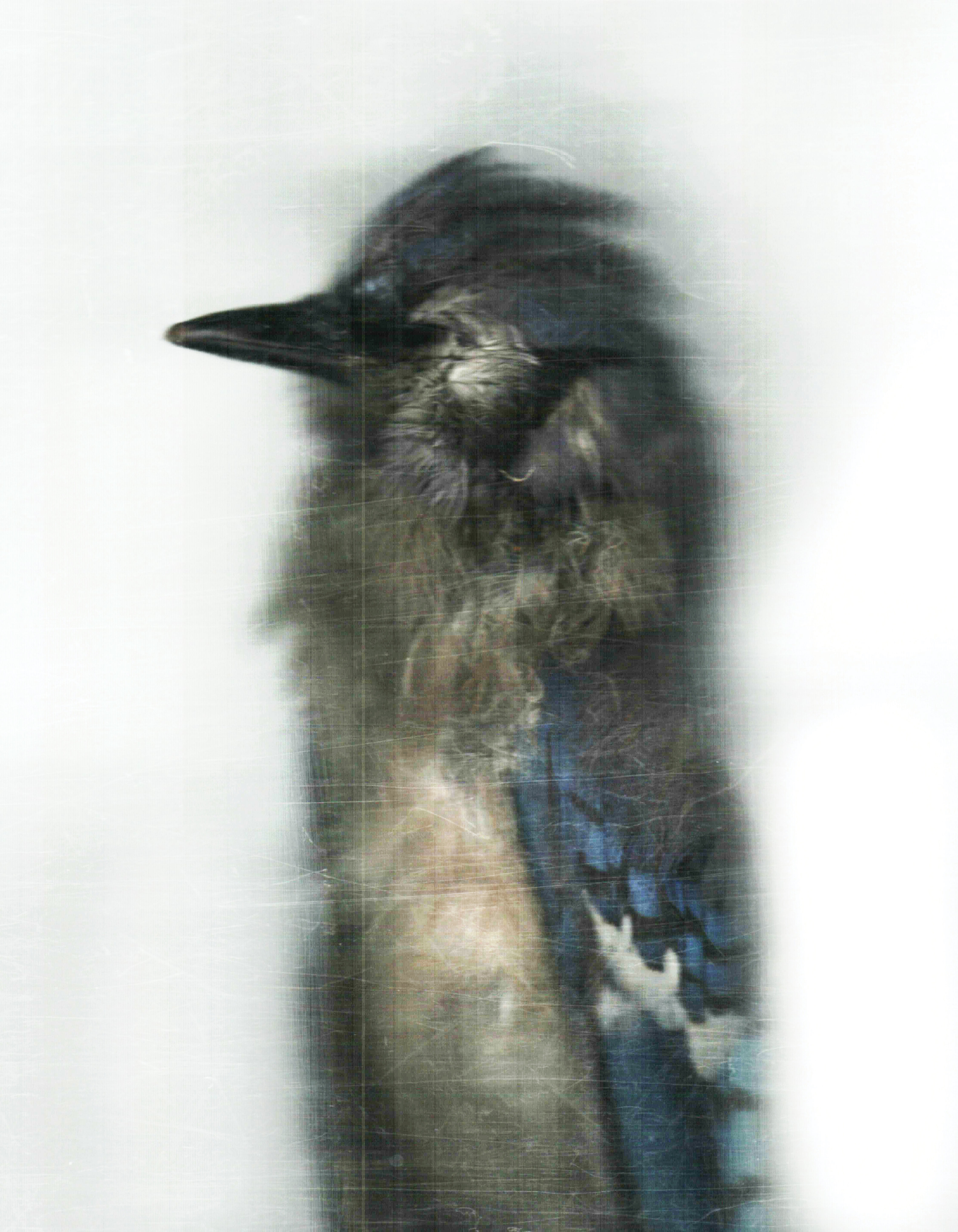 An Atmosphere of Evolution | Weathering the Notion of Touch and ...