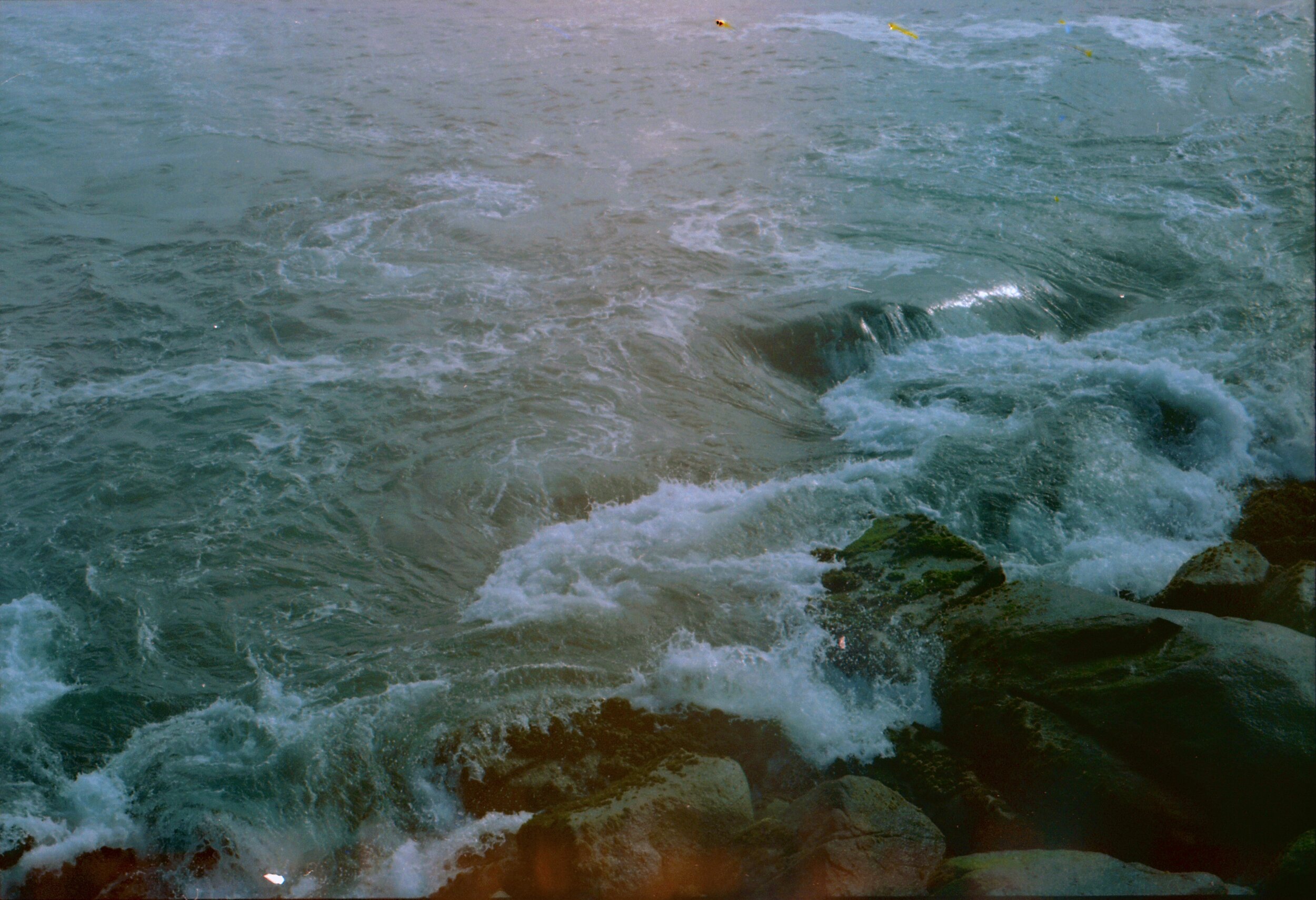 LGBTQI+ TikTok Trailblazer | @ghosthoney | Tyler Gaca