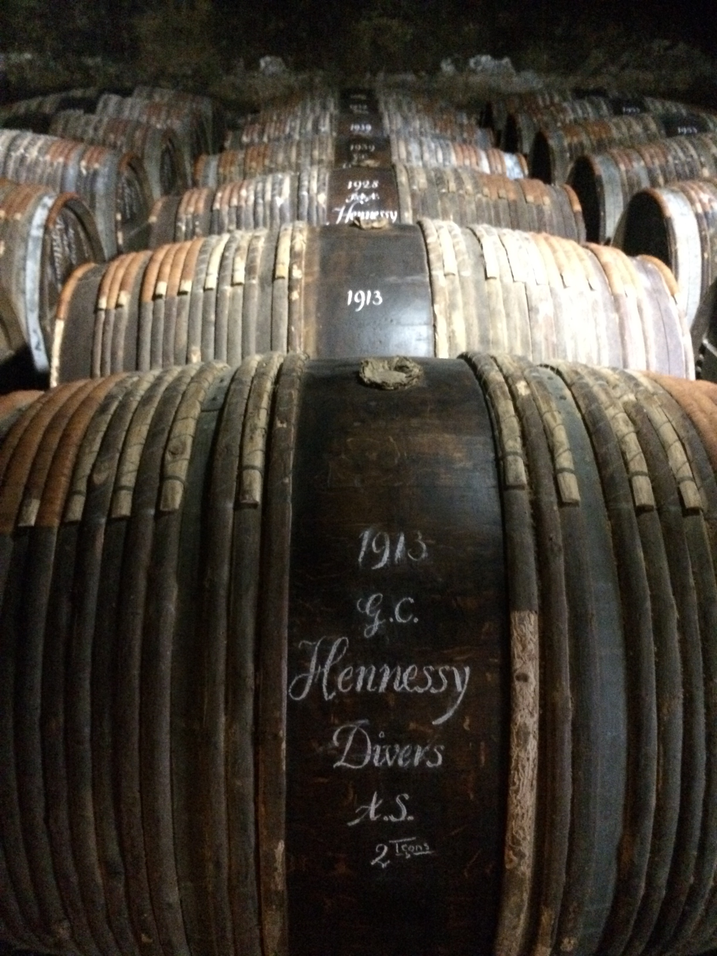 An Australian Fox in the Hennessy House