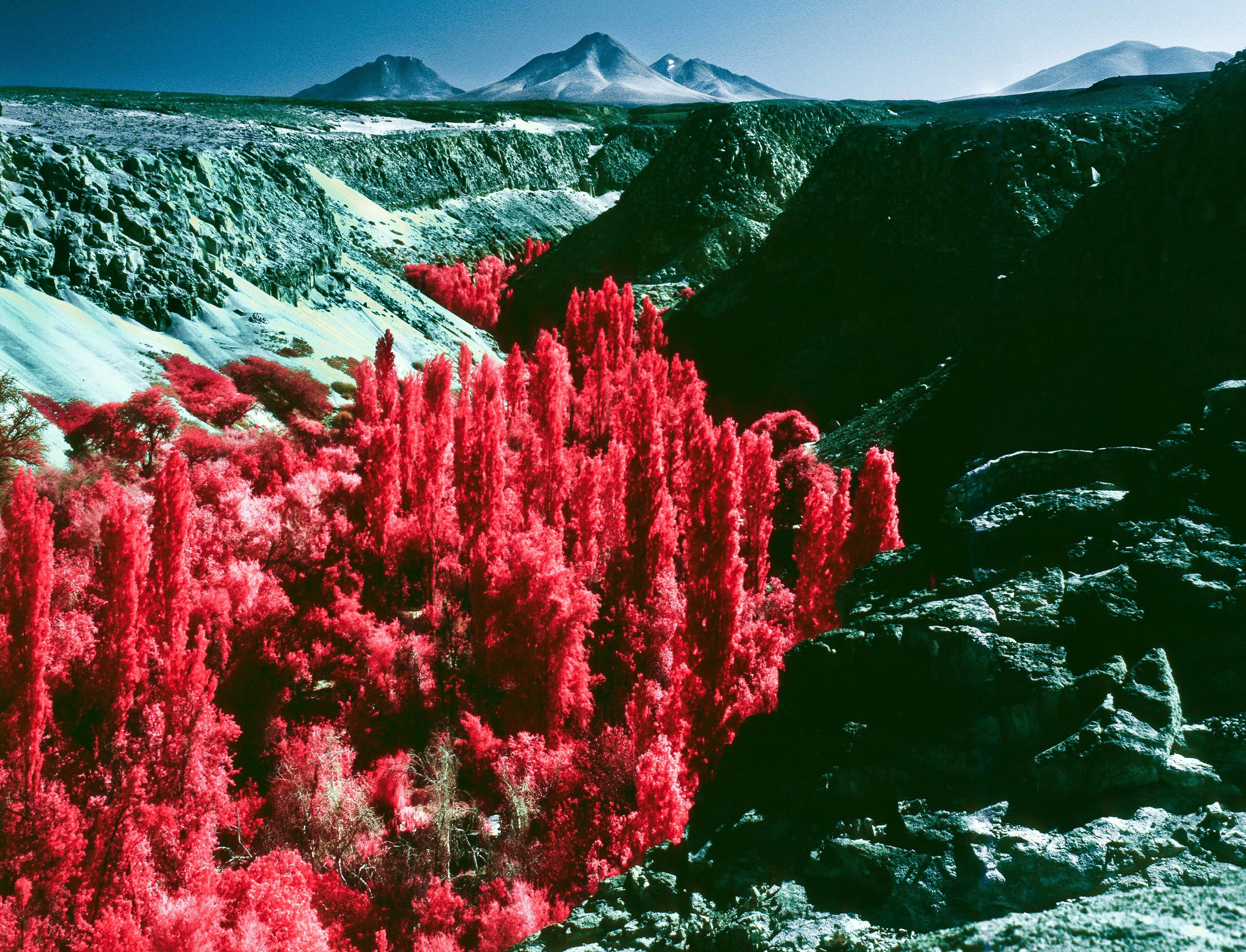 Reuben Wu and his life with Ladytron and Photography