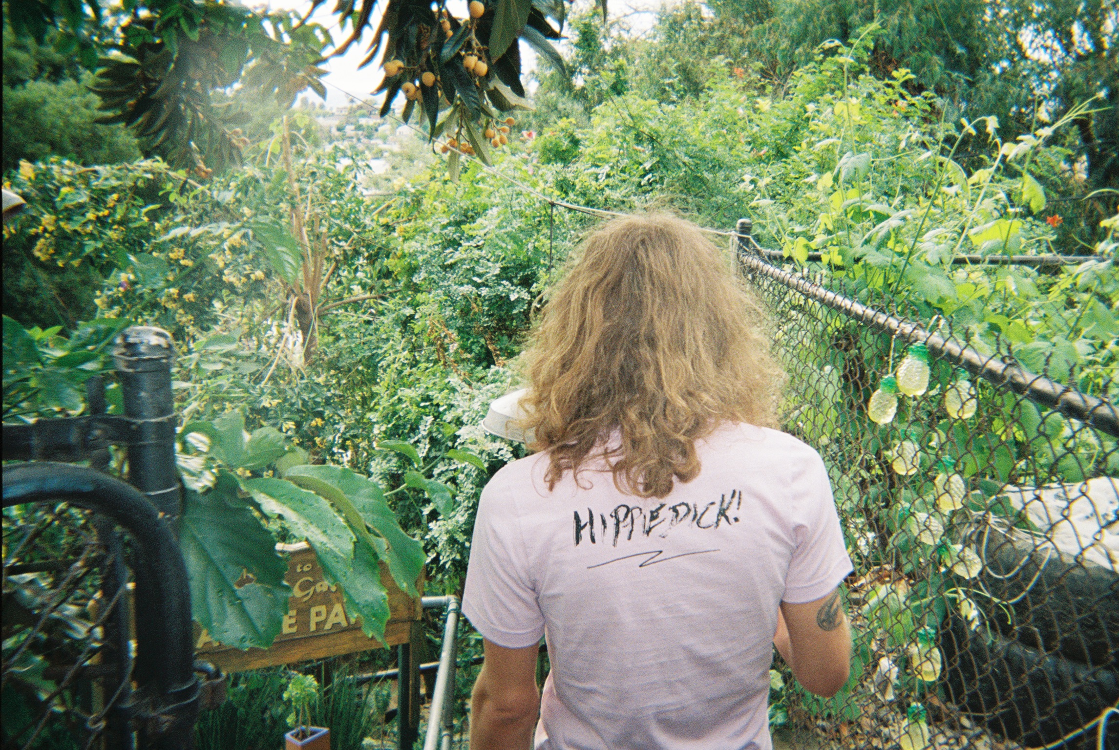 Dirty Looks | Hippie Dick!