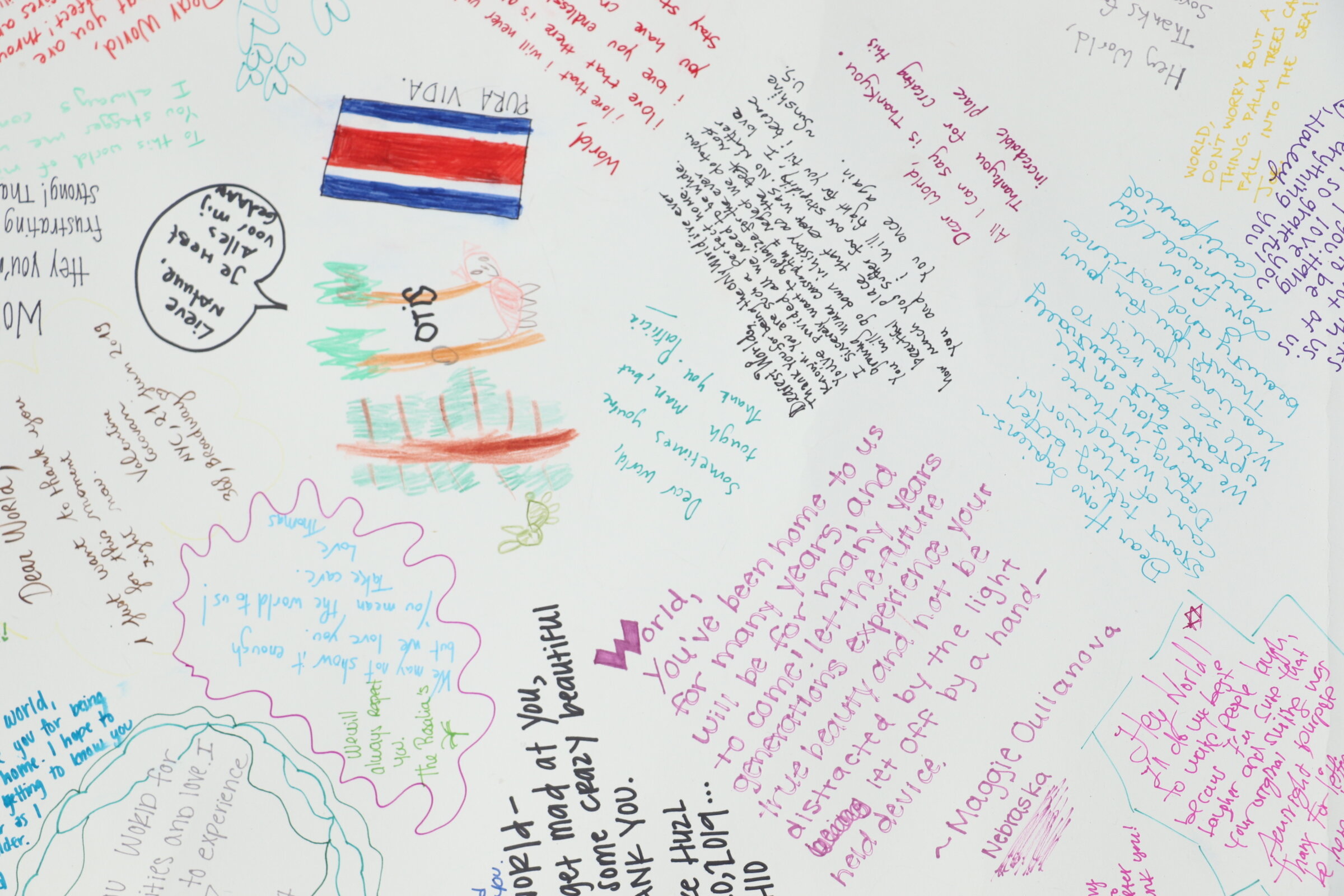 Cocovan | The World Letter