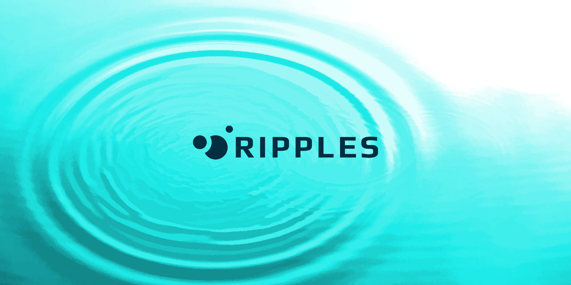 Digital Marketing Agency For Small Businesses | Free Consultation