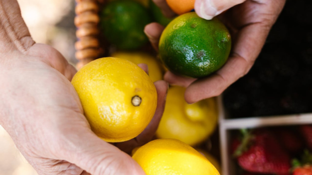 Life insurance vs annuity: Which is right for your clients? – Modern Life