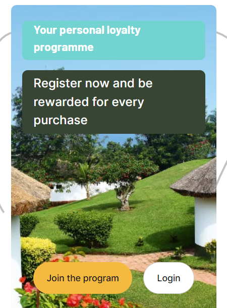 Customizable-loyalty-rewards-widget