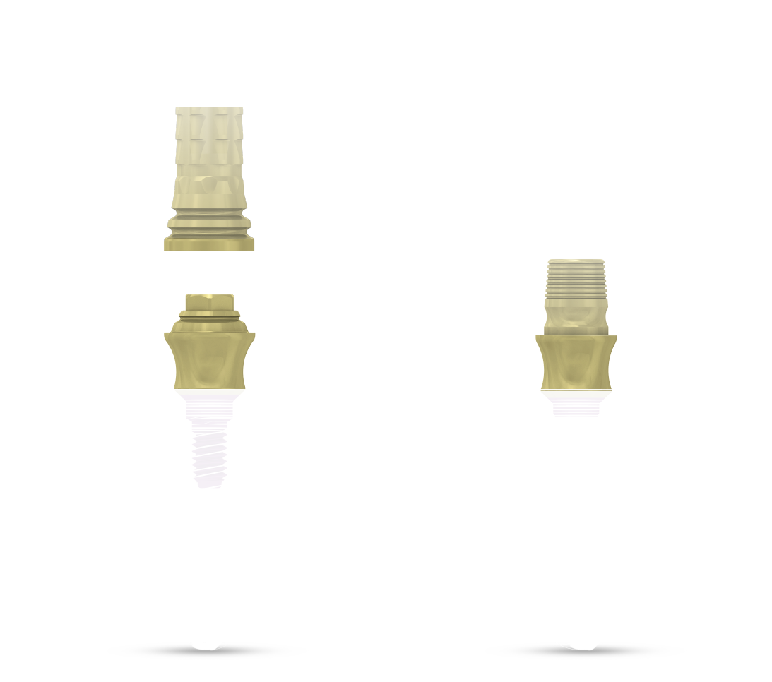 multiple teeth restoration#3 Int
