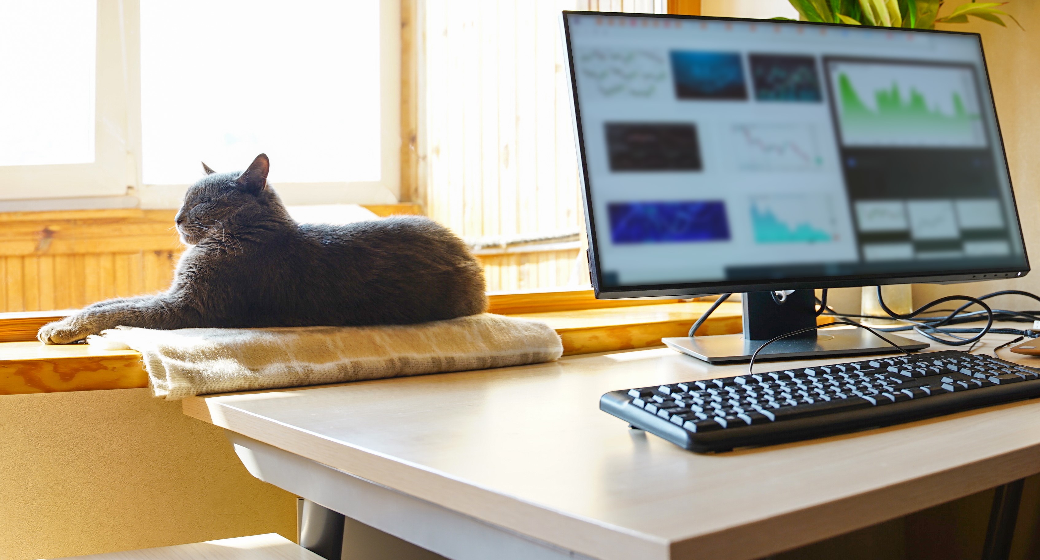 Remote Working - will it work long term?