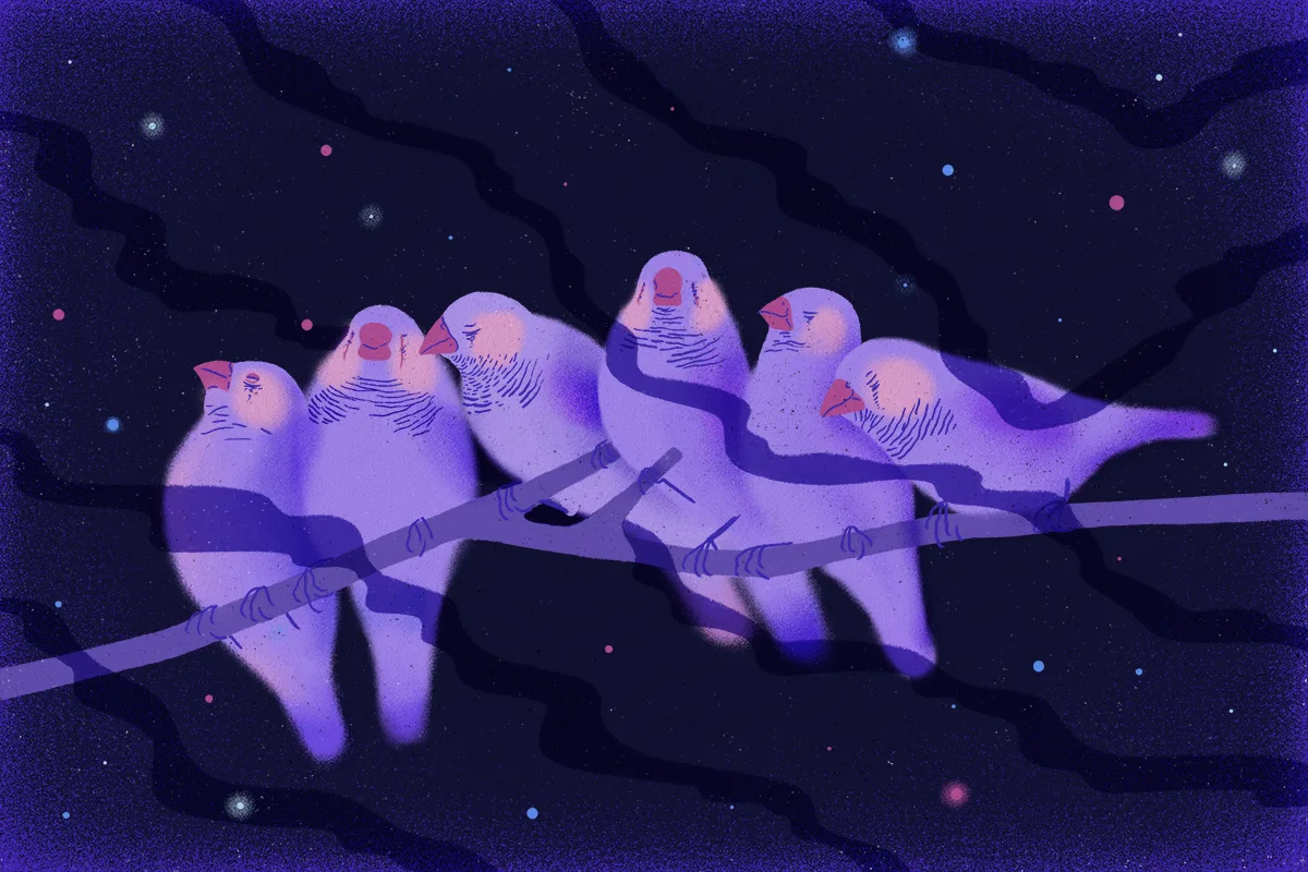 Do Animals Dream? Unveiling the Mysteries of Animal Sleep