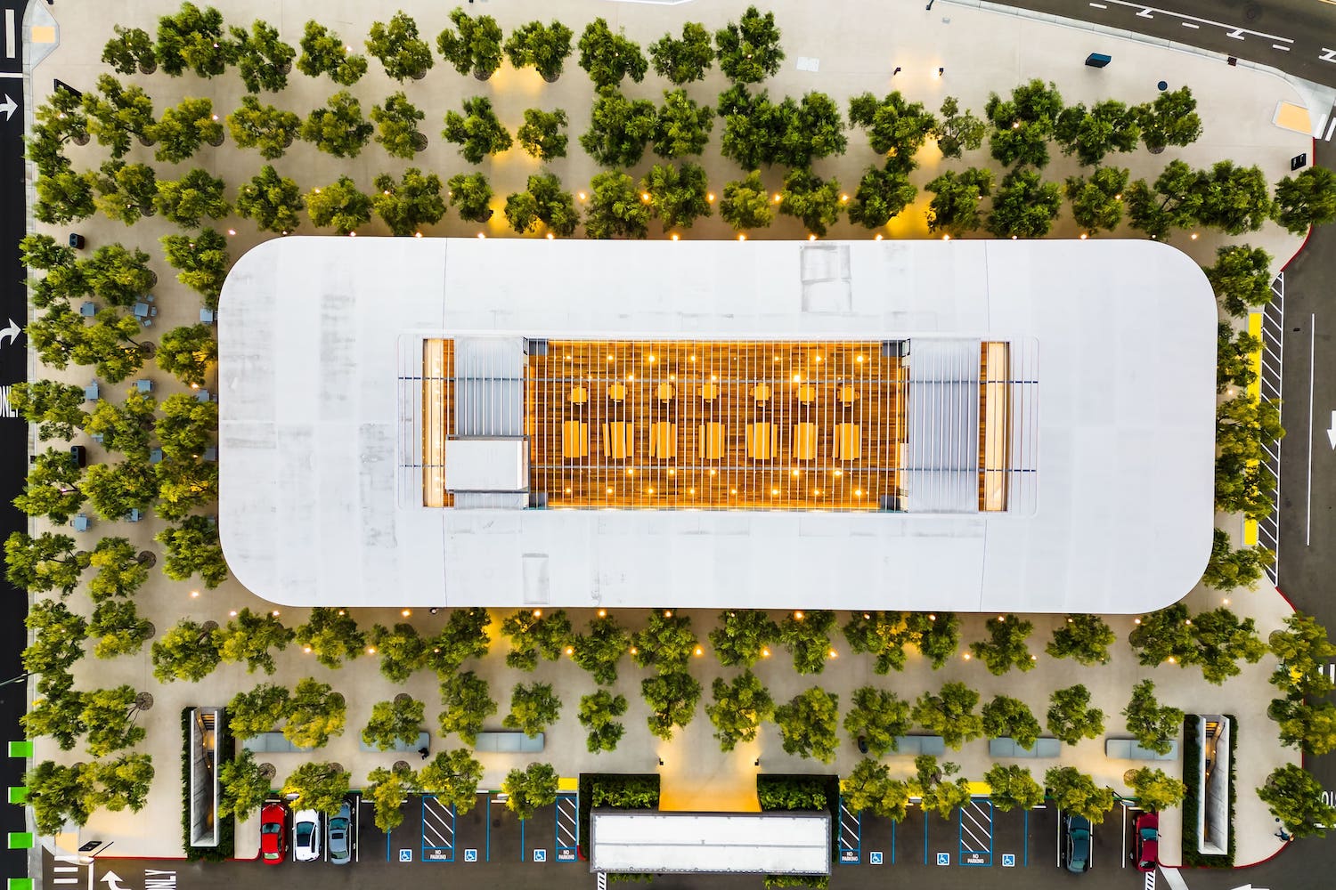 The ‘Green Claims Code’ | Sustainability Marketing Guide | Proctor ...