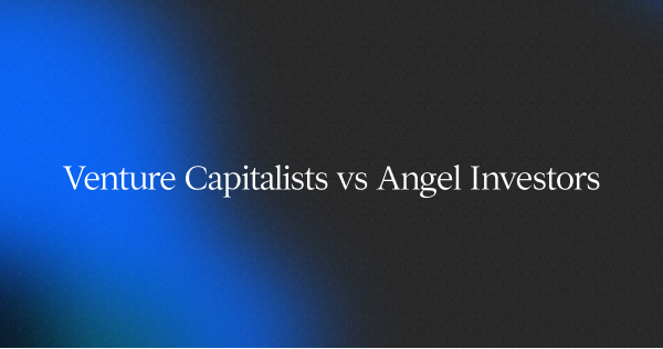 Venture Capitalists & Angel Investors » Key Differences