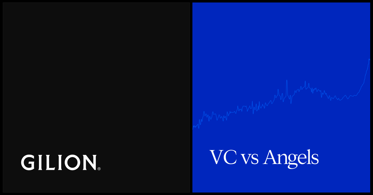 Venture Capitalists & Angel Investors » The Key Differences