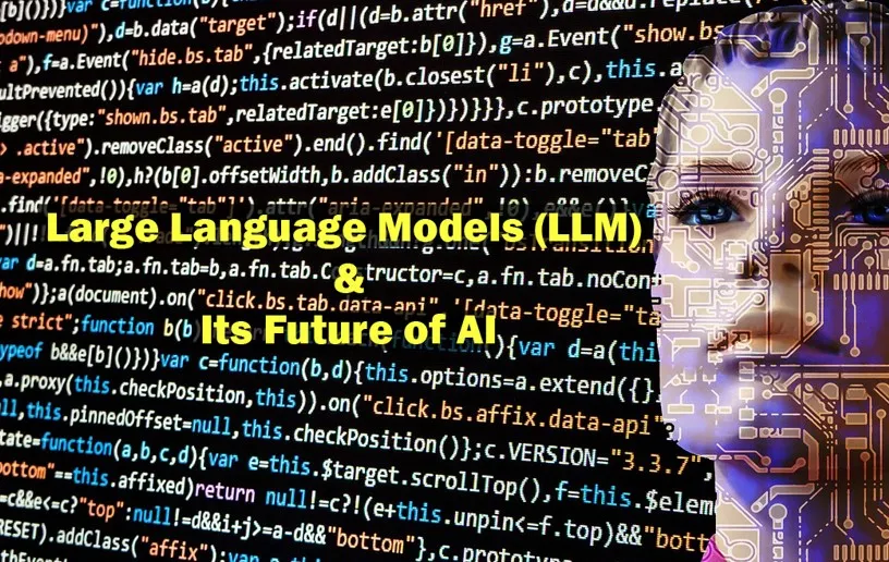 Labellerr: Human/Expert In The Loop Labeling Services