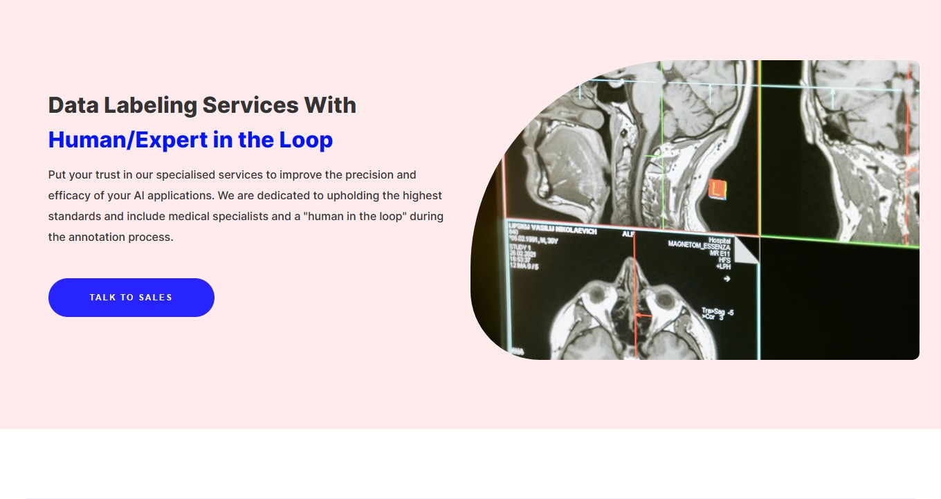 Labellerr: Human/Expert In The Loop Labeling Services