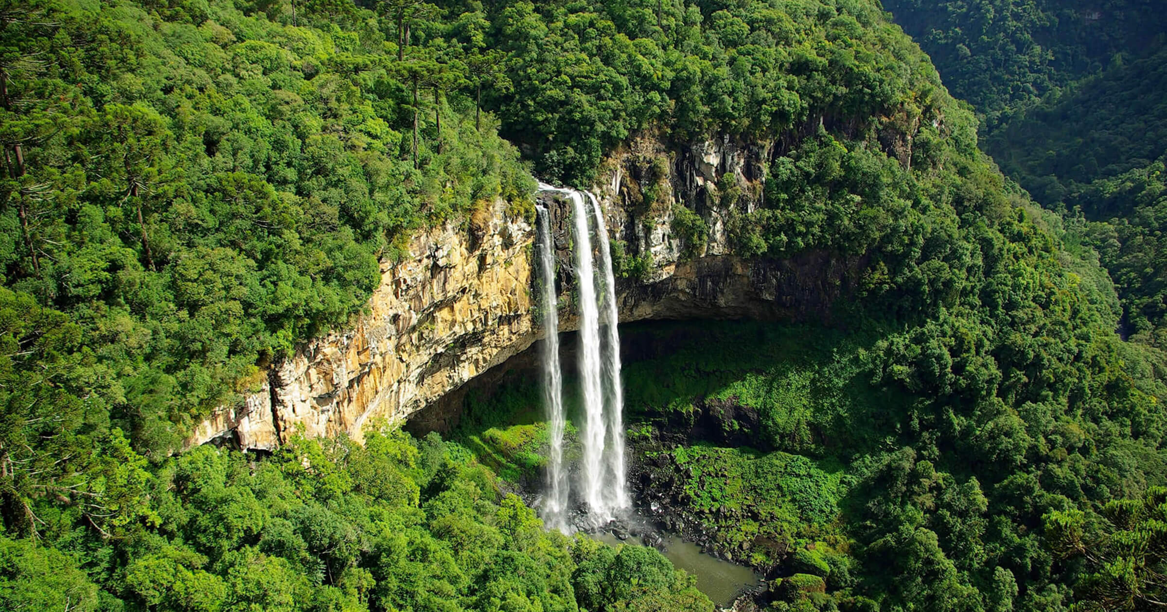 Unlocking Environmental Impact: How Additionality Drives Carbon Offset ...