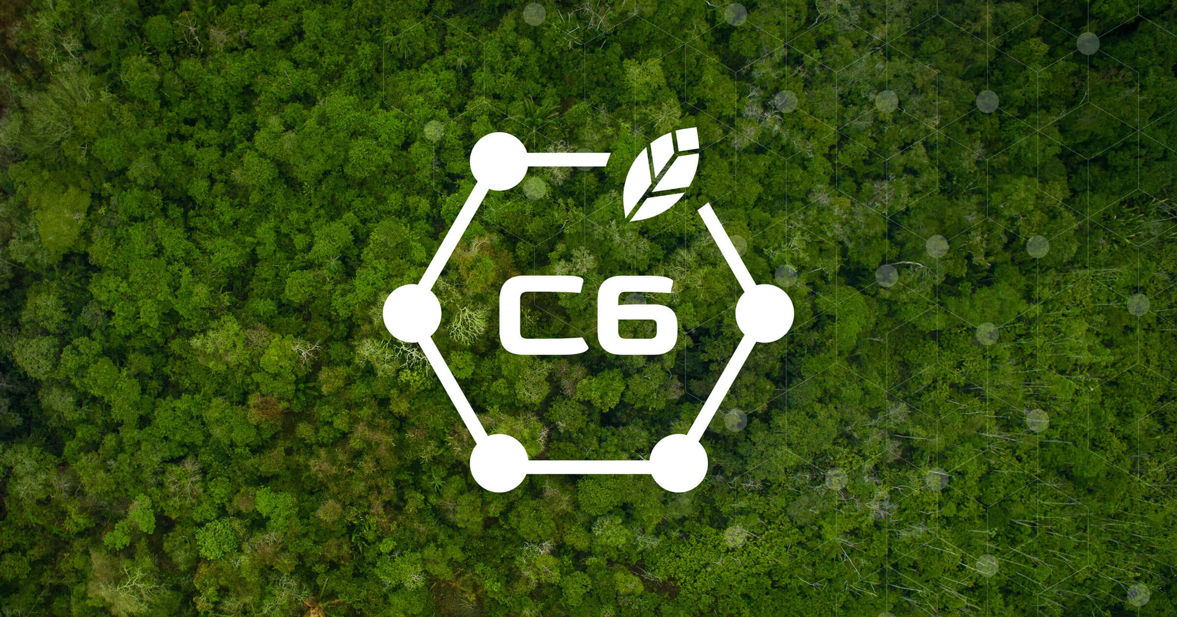 C6 Captured is Leading Conservation Efforts, Securing Forest-Based ...