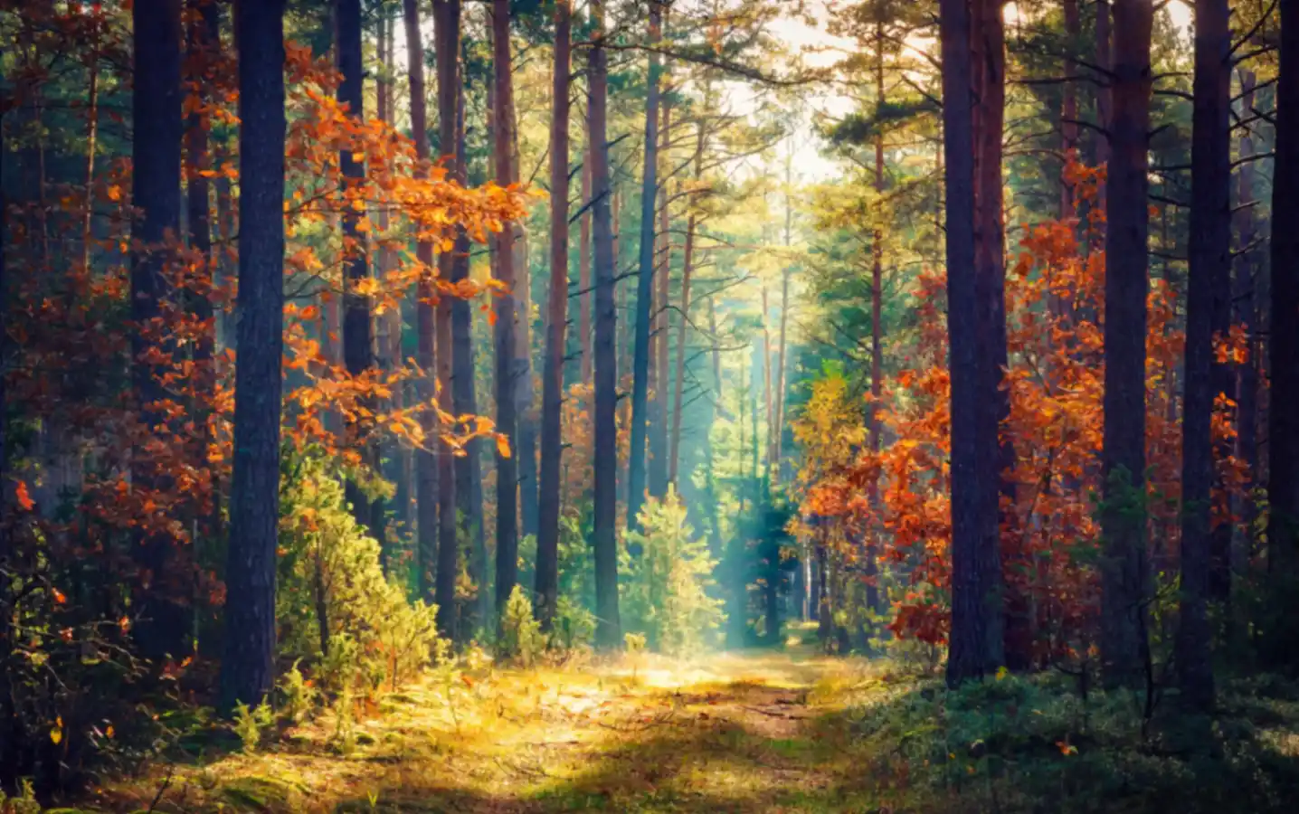 Les fonds propres en comptabilité - Stello