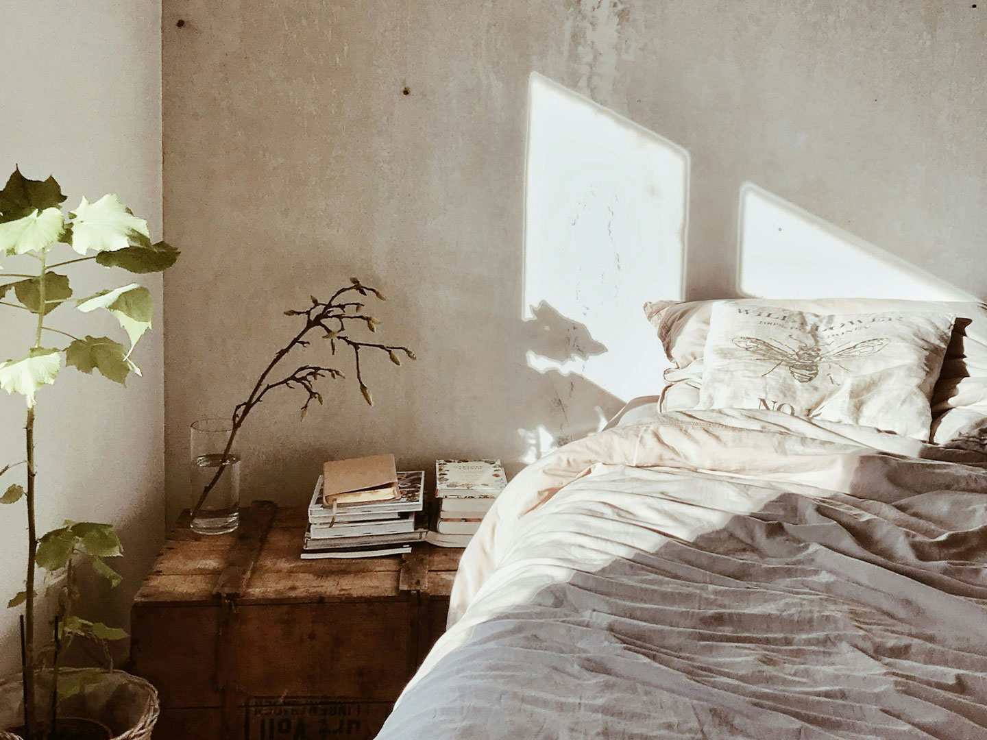 PHOENIX Design | Product Design Studio for Wellbeing and Business Design