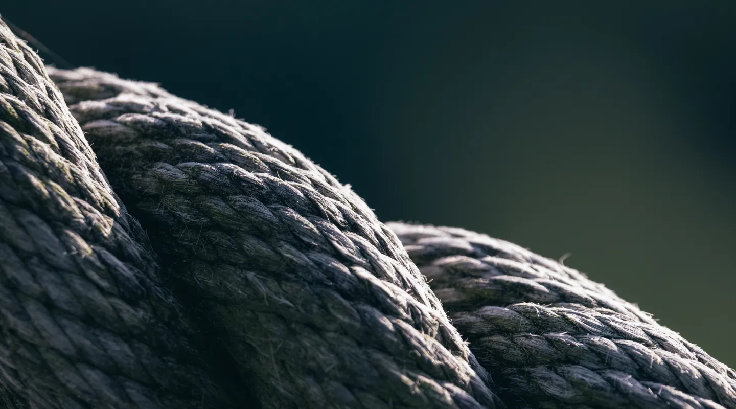 10 Unique Ways to Incorporate a Unity Braid into Your Wedding ...