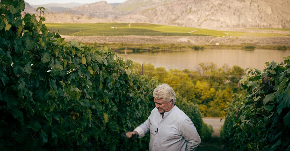 Hermit Wine by Ingo Grady