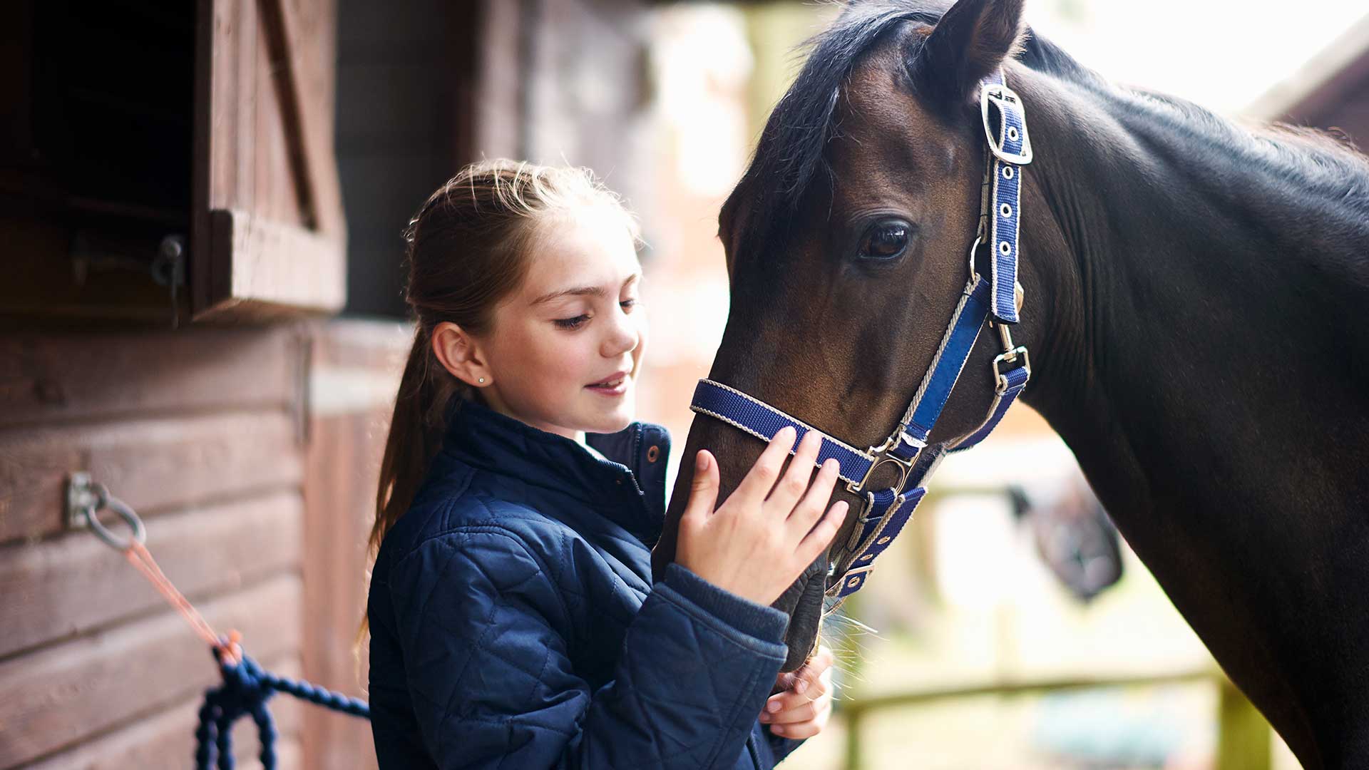 62f4db9fbbbfc16d1961b730_pferdesachen-blog-kategorie-thumbnail-04 ...