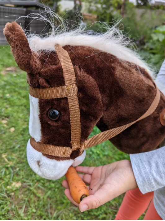 Warum - Pro und Contra Hobby Horsing