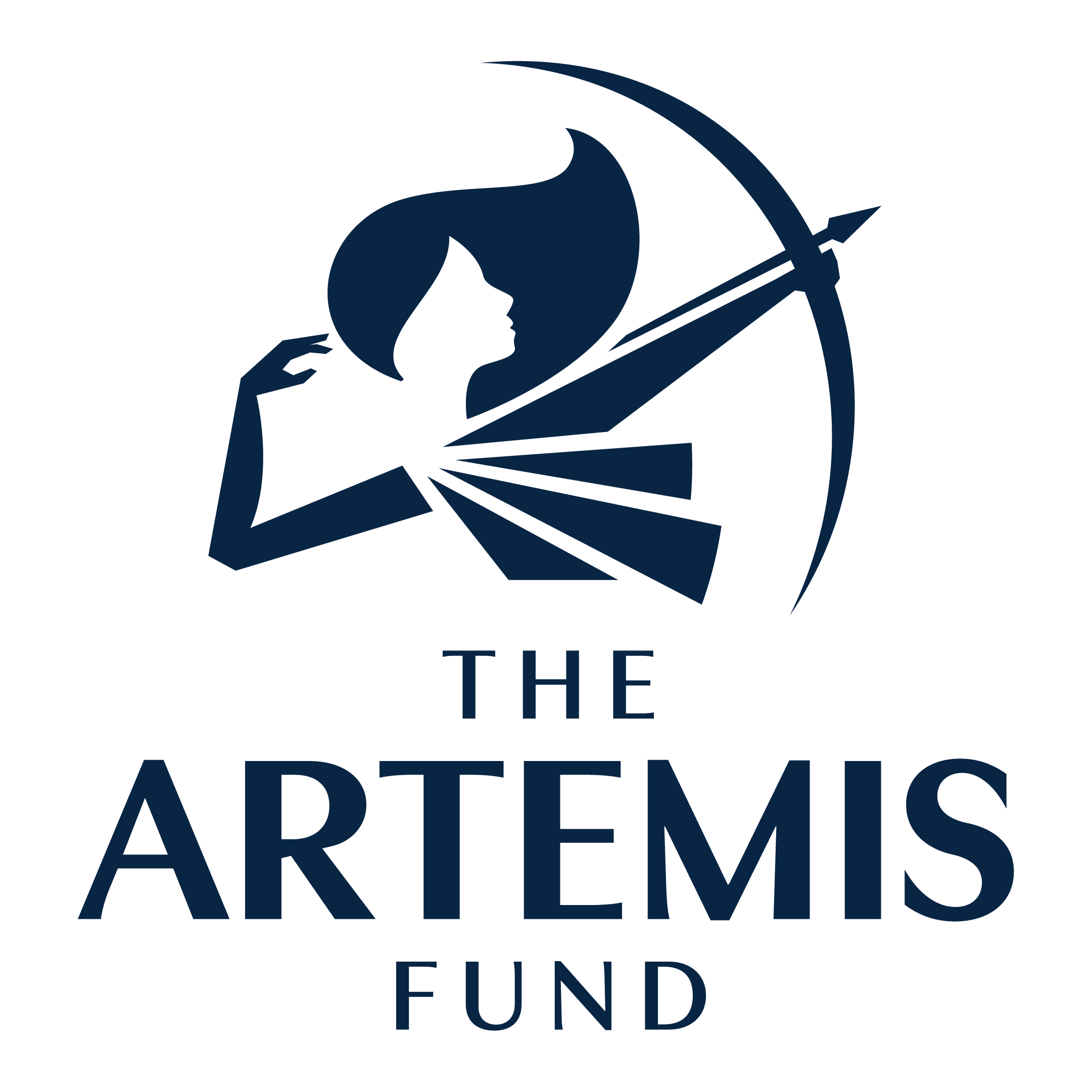 The Artemis Fund - VC Fund Breakdown