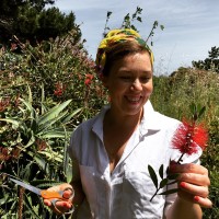 Kate McAndrew (Baukunst) / VC Breakdown & Contact