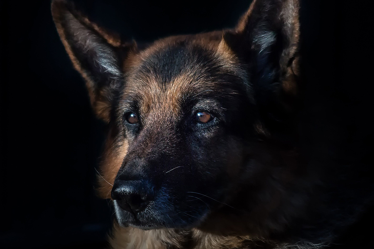 Practice Areas | DevonLaw, PLLC