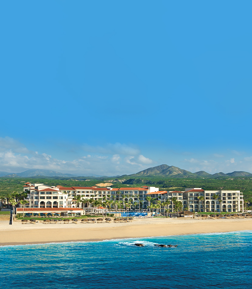 Breathless Cabo San Lucas Resort & Spaᴹᴰ | Rêves de Soleil | Vacances ...