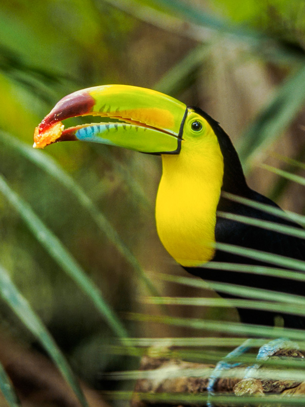 Belize | Rêves de Soleil | Vacances Air Canada