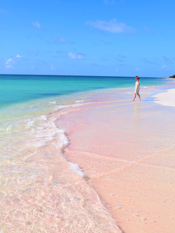 Antigua-et-Barbuda | Rêves de soleil | Air Canada Vacances