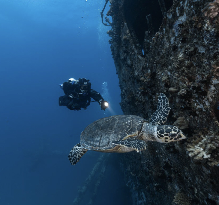 Avatar - Diving made easy | 247studio