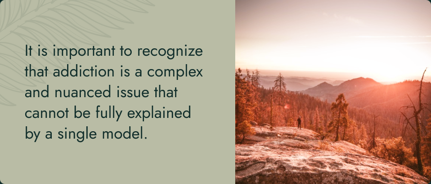 Understanding the Models of Addiction