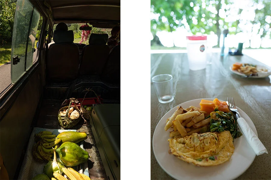 Discover the Best Plant-Based Food Options in Vanuatu