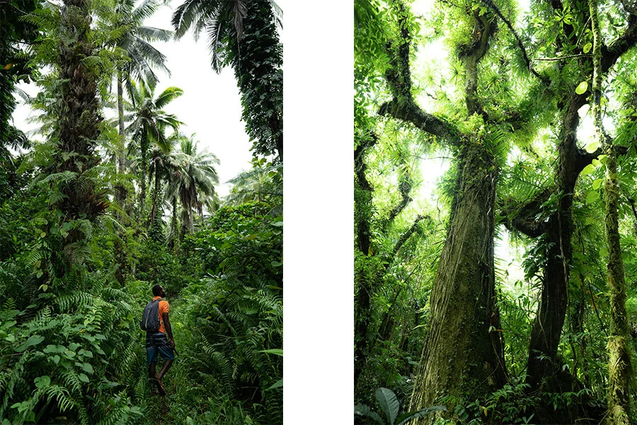 Experience the Active Volcano Mount Garet on Gaua Island