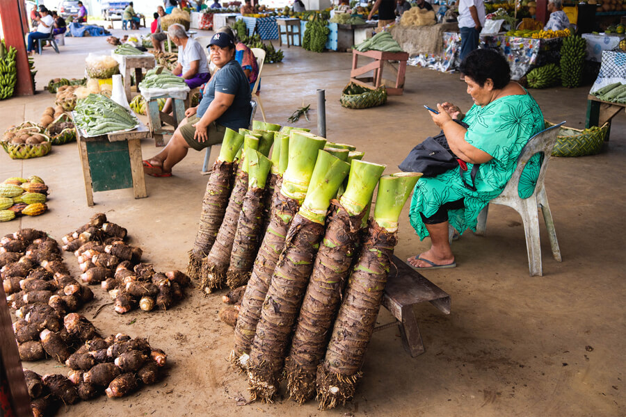 Delicious Guide to Plant-Based Food in Samoa
