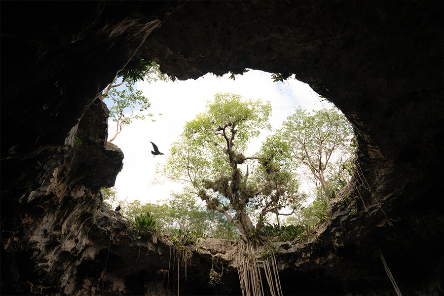 Explore Cenotes Santa Barbara: Amazing Nature and Local Food