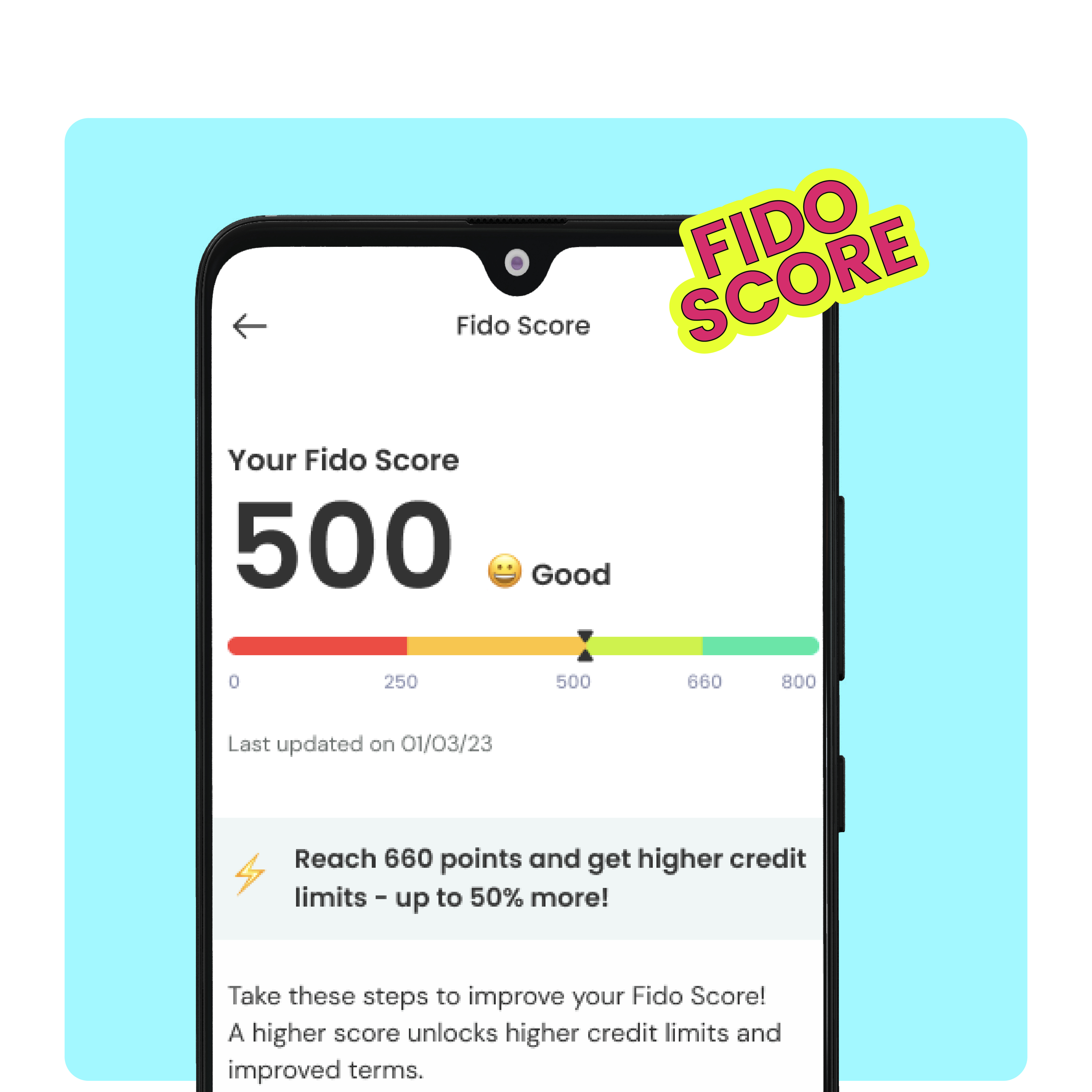 Fido - Understanding How it Works