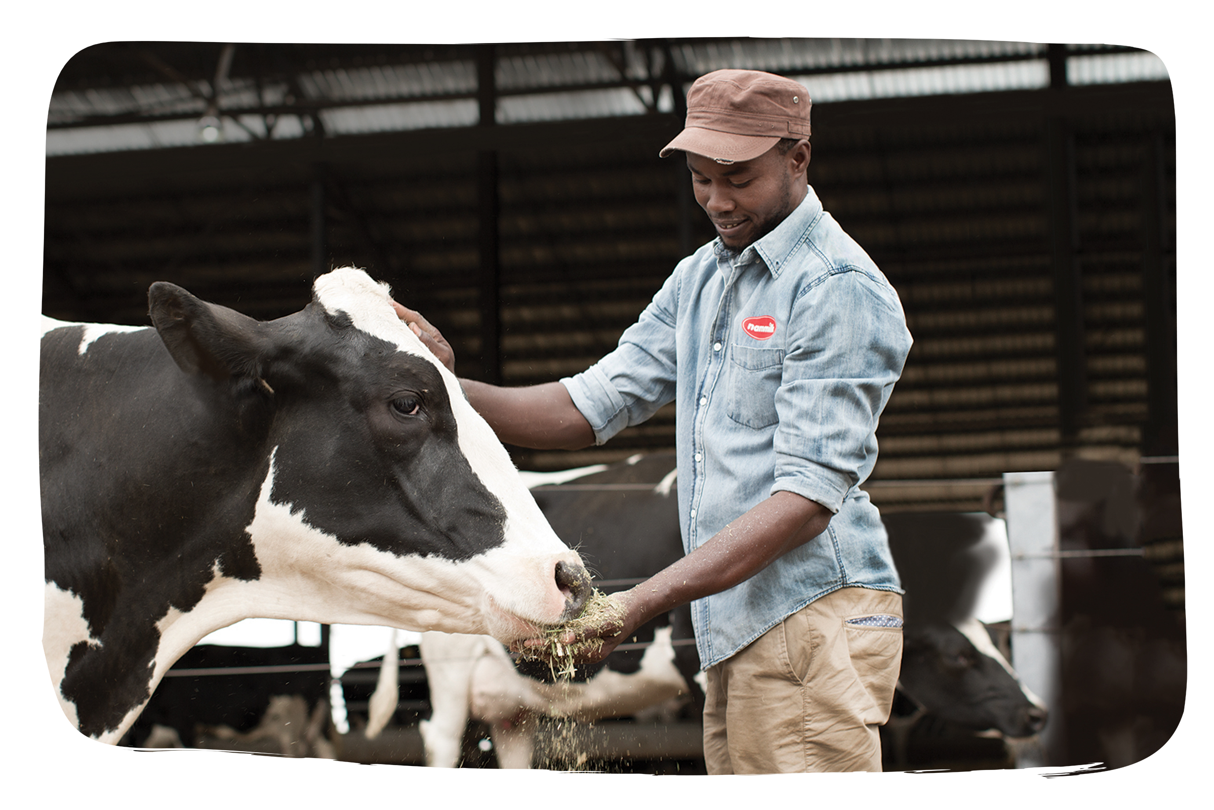 About us | Proud member of the Namibia Dairies family.