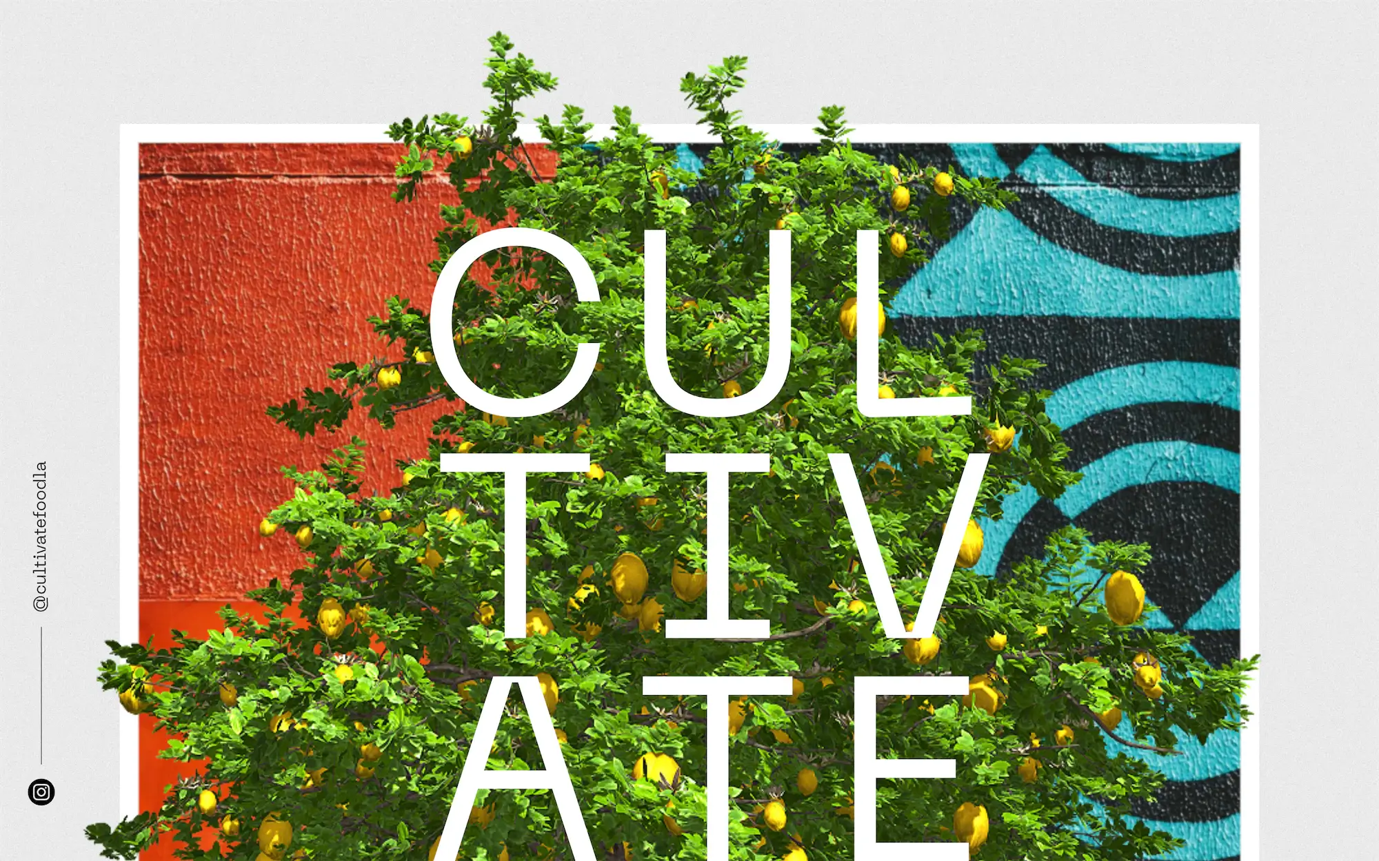 Webflow [App] No-Code Supply Co.