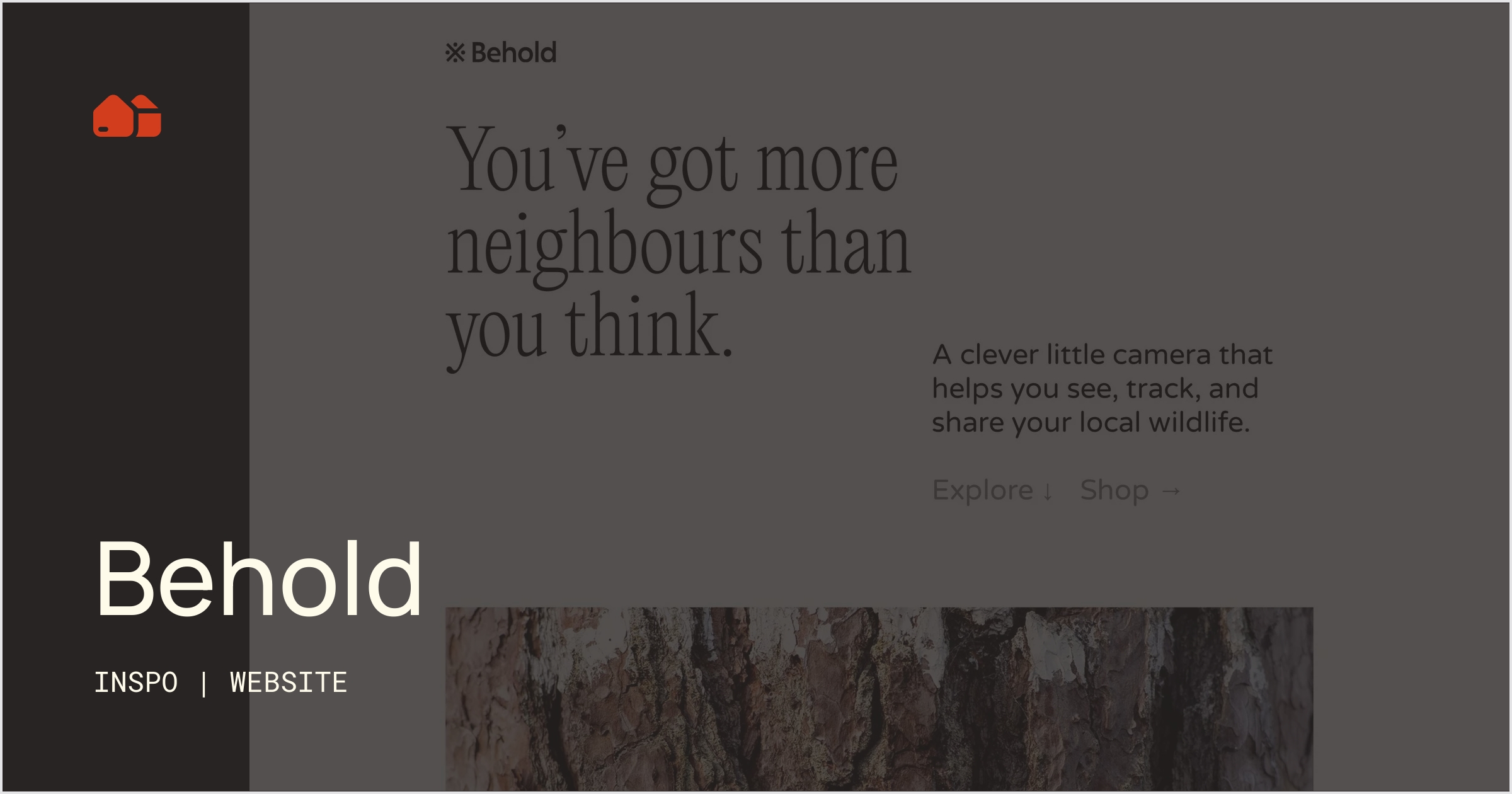 Behold [Website] No-Code Supply Co.