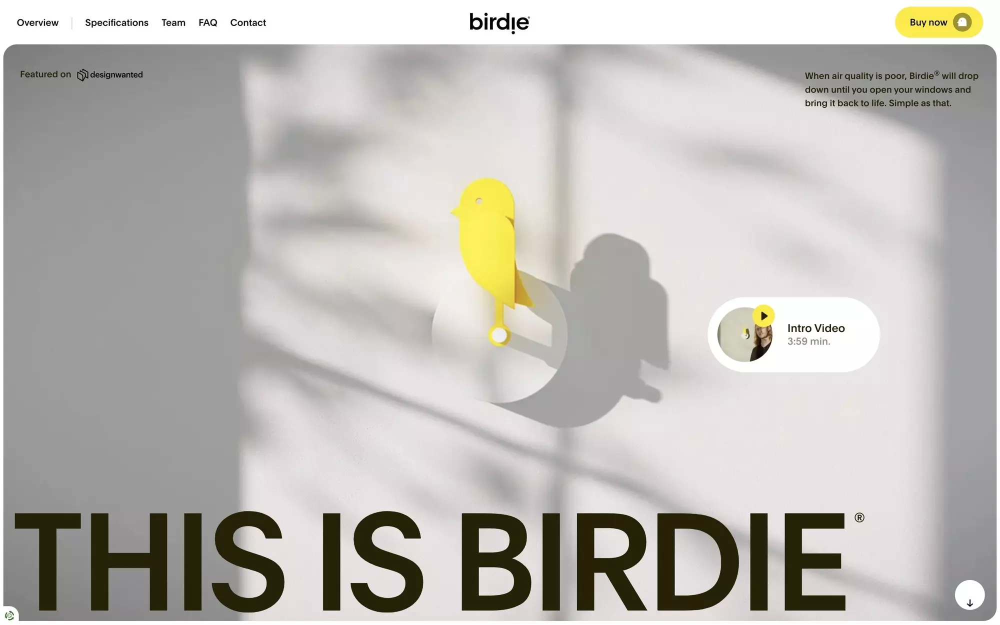 Birdie® [Website] No-Code Supply Co.