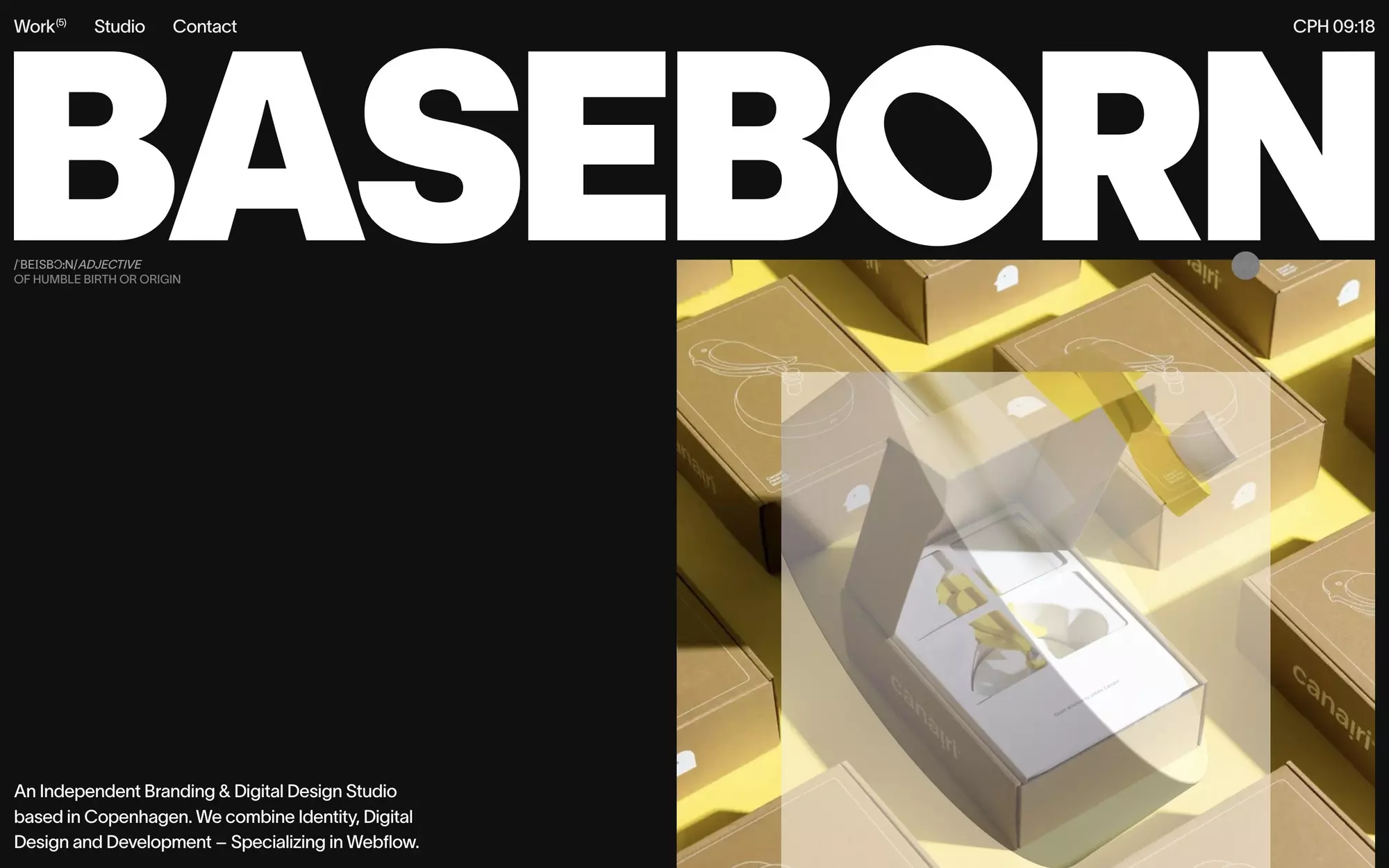 No-Code Supply Co Hand-picked Digital Inspiration and Resources