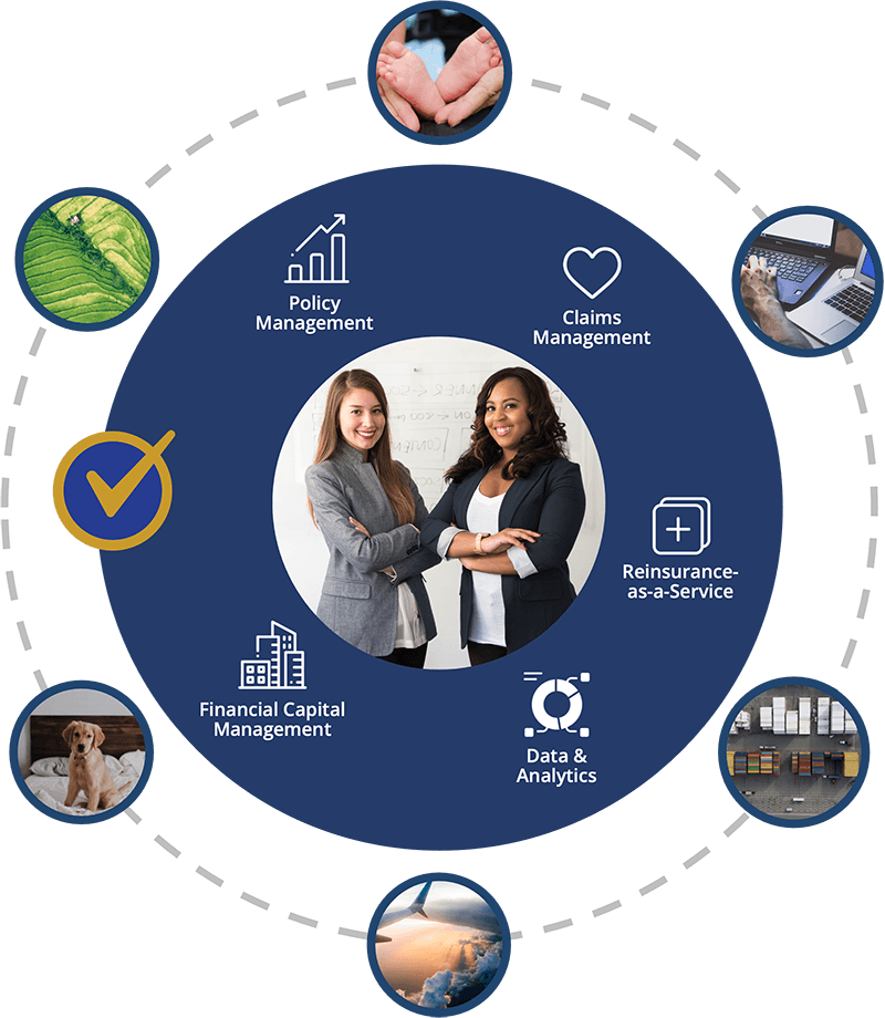 Lexasure | Leading insurtech and reinsurance company
