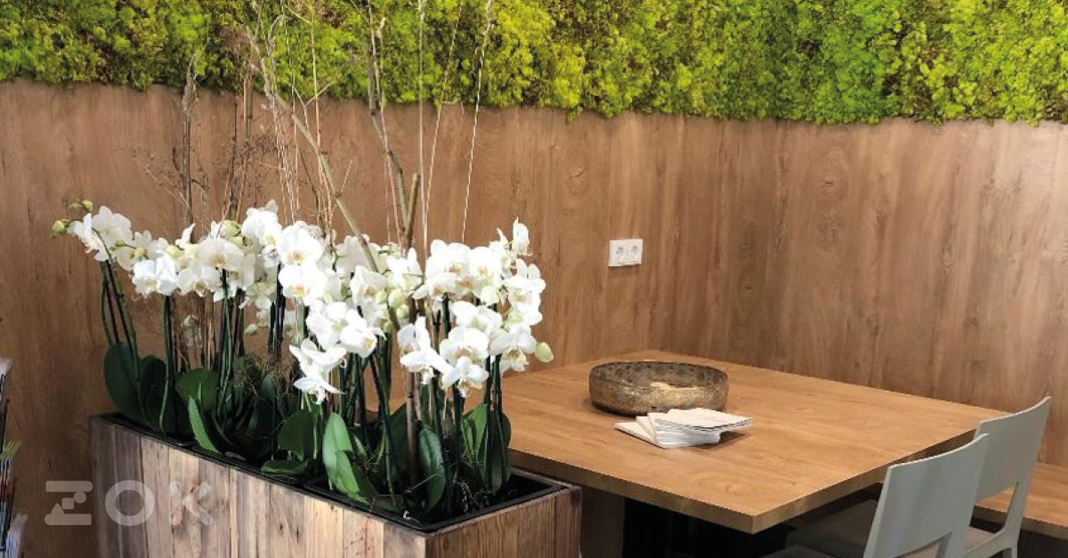 Wood in Modern Retail Design: More Than Just Aesthetics